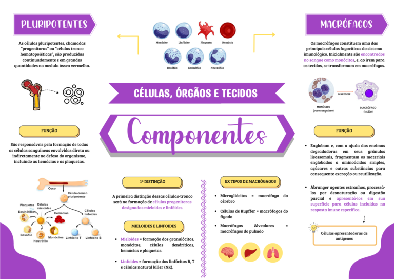 Imunologia mapeada – Mais Resumos